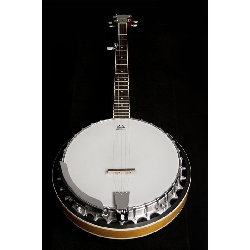 Washburn Americana B9 5-String Banjo - promusica.ie